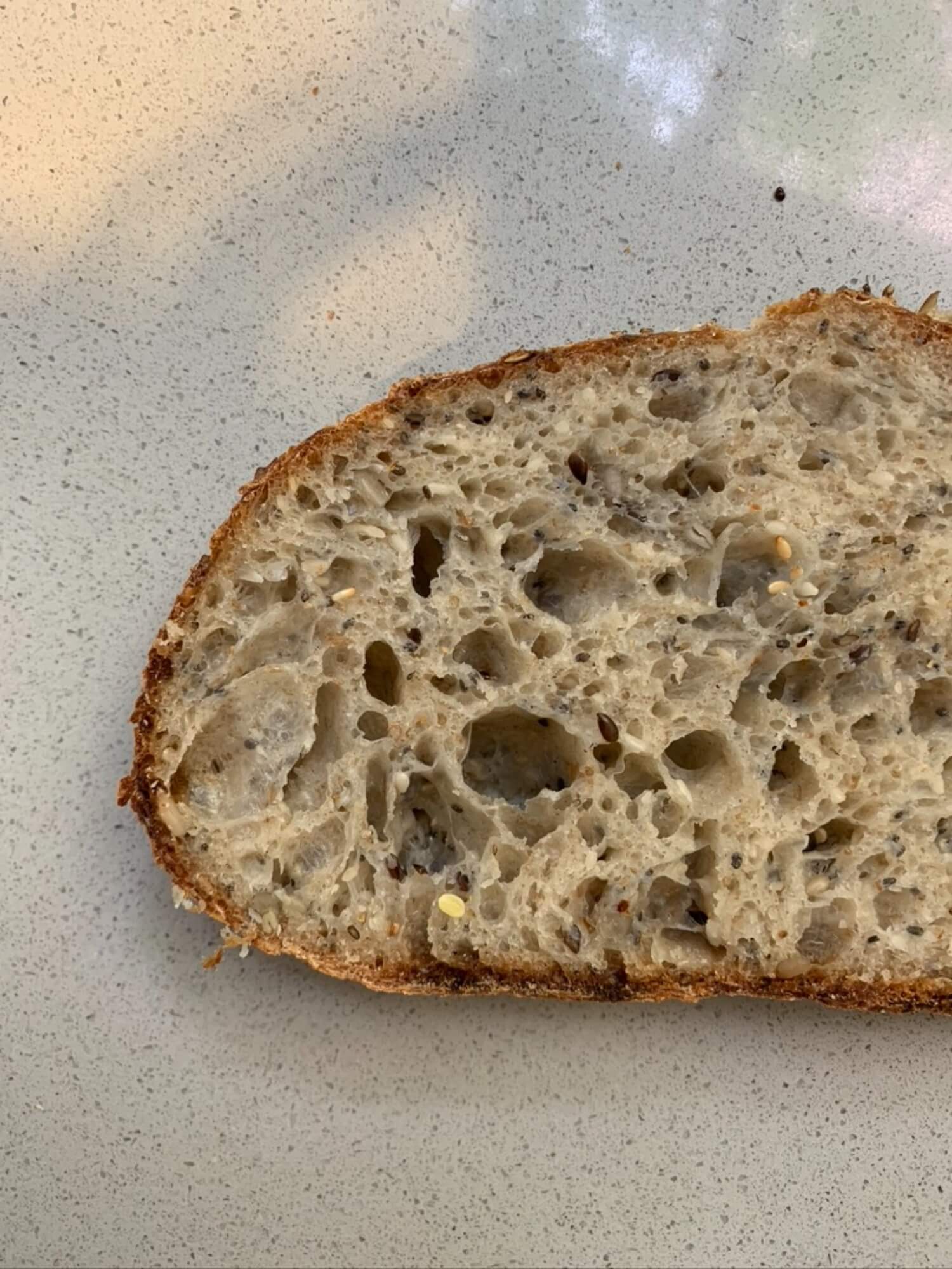 PAN DE CAMPAGNE CON SEMILLAS - Ramona Obrador